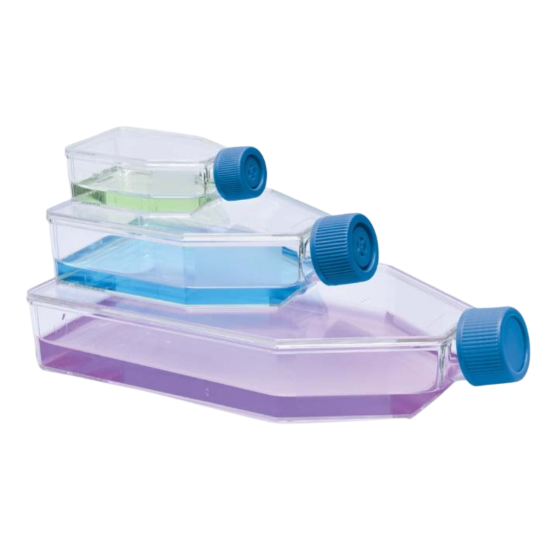 Flasks – For Cell Culture – Miktek Scientific